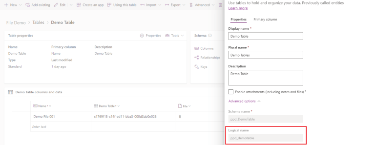 Download a file data type from your Canvas App.